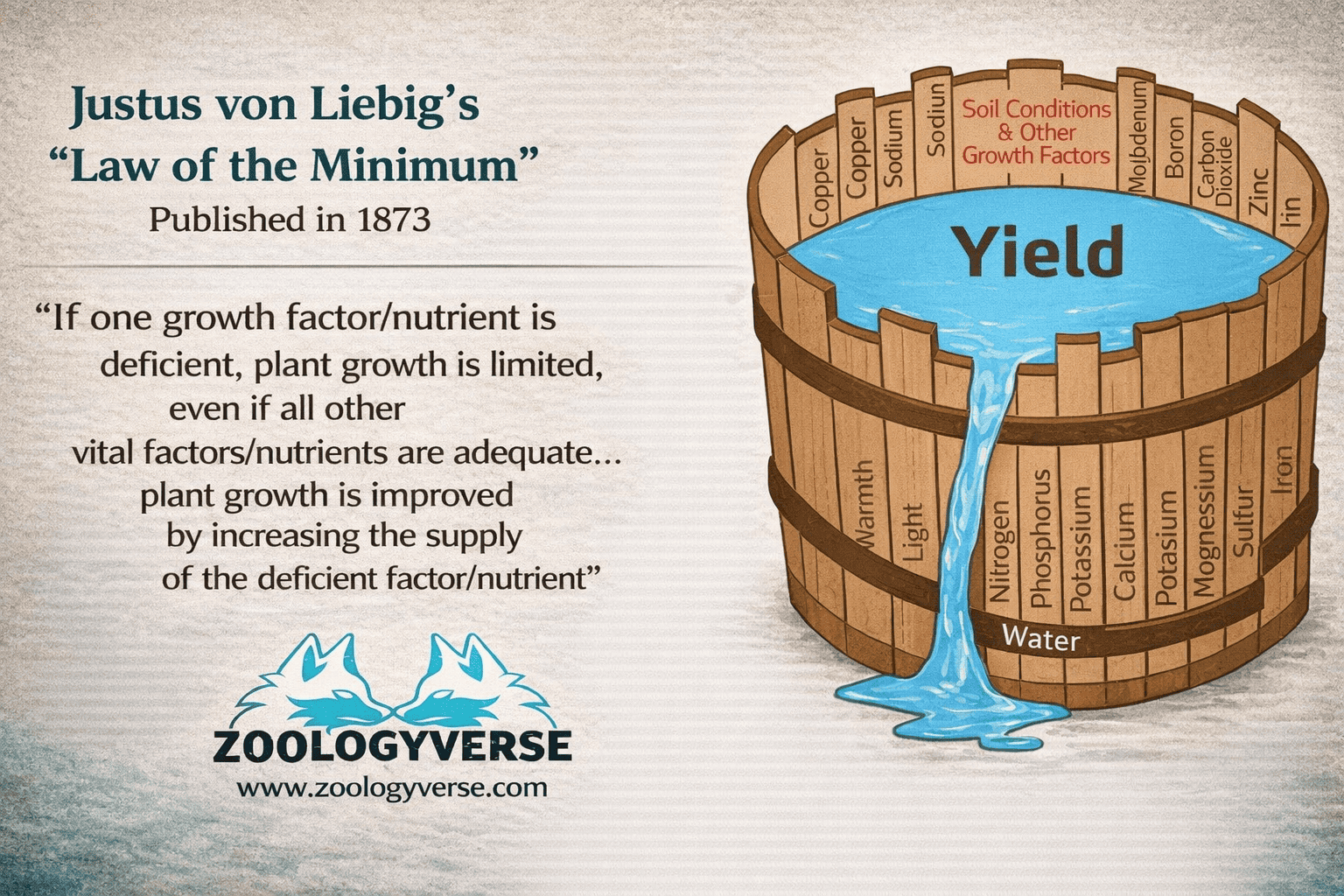 Environmental Limiting Factors | Zoologyverse